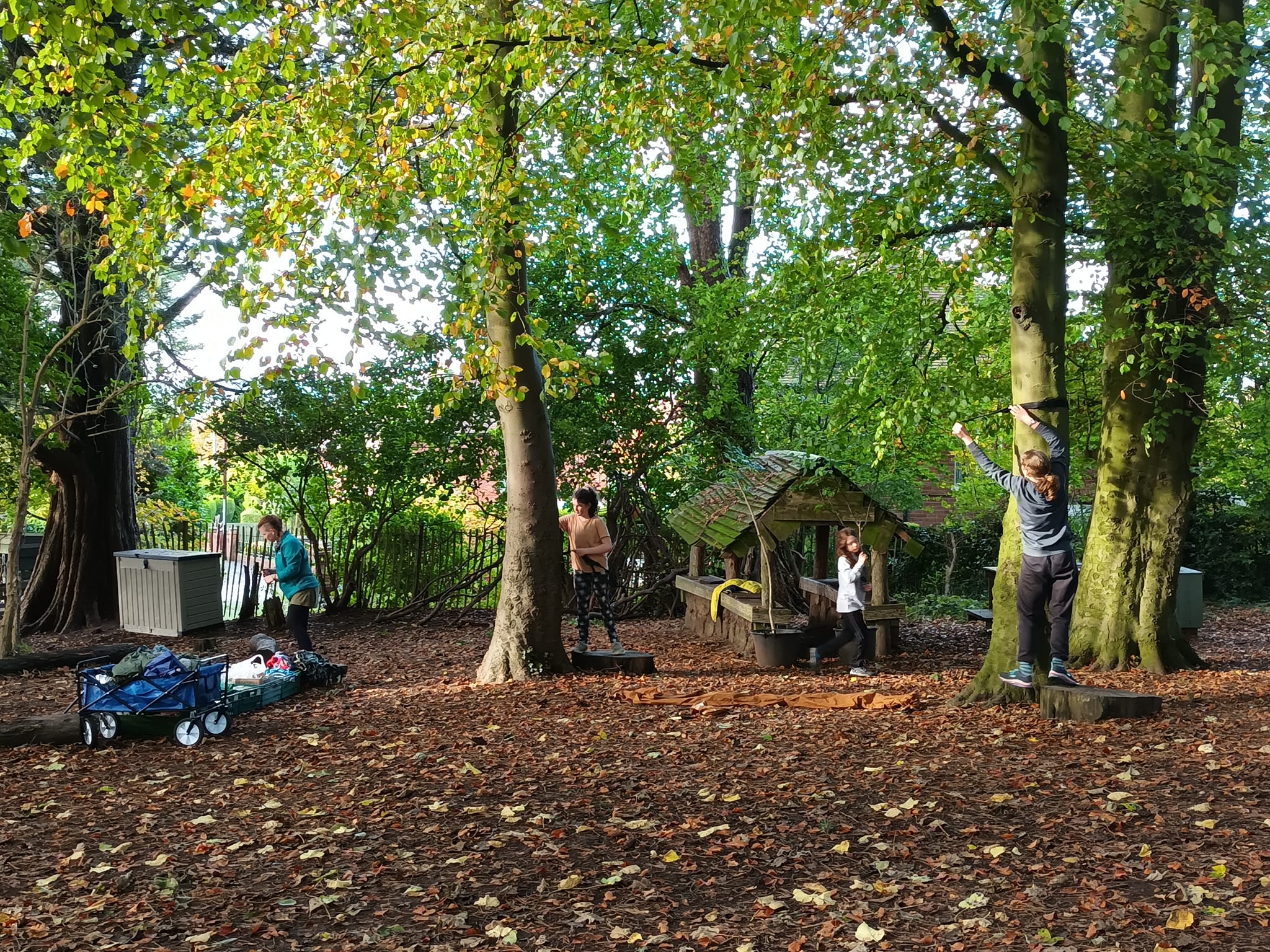 Forest School Sessions – Elements Forest & Garden School